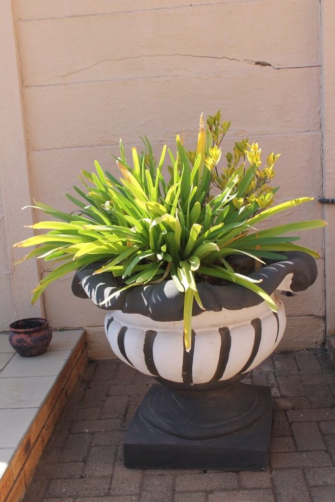 Workshops - Connie Mulder Centre